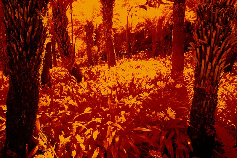 Spock's Grave - portrait photography architectural product photography